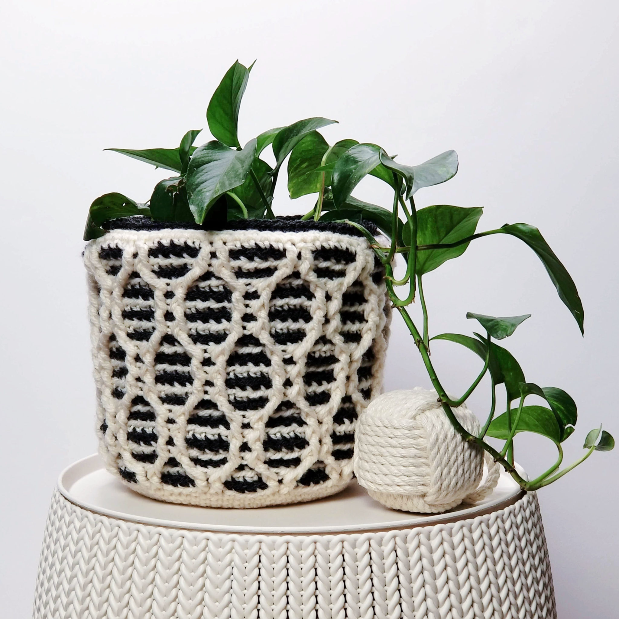 DIY Plant Hangers and Cozies - Free Patterns to Explore! - moogly