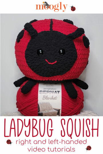 Lady Bug Squish Tutorial - Right and Left-Handed on Moogly