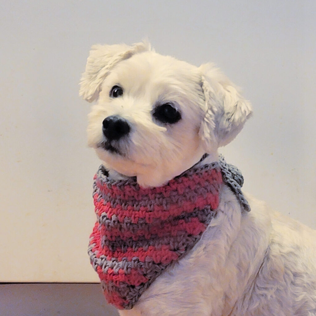 Preppy Puppy Bandana - Free Crochet Pattern on Moogly